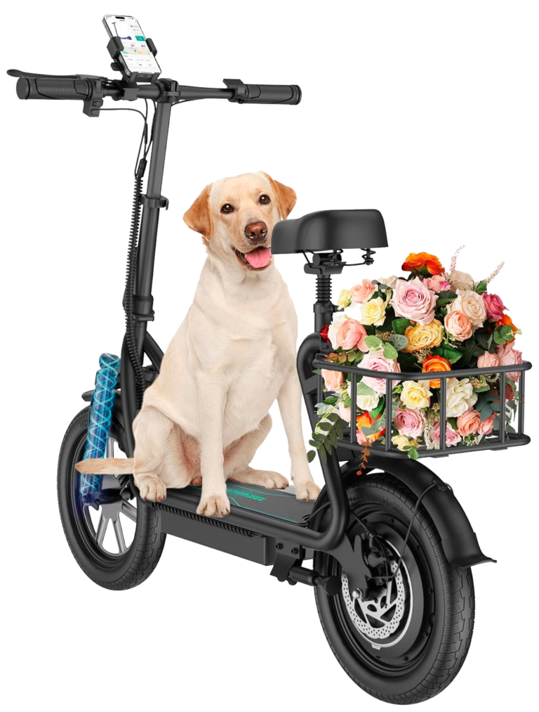 Aovowheel Electric Scooter & Ebike | Official Website